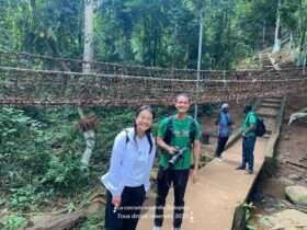 Les Cascades Naturelles de Man : Un Trésor Caché de la Côte d'Ivoire - VRCI